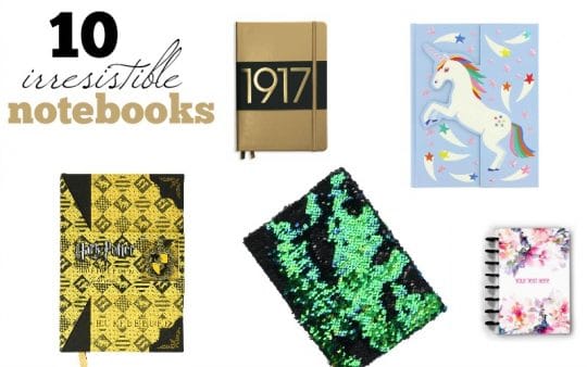 10 Irresistible Notebooks to Add to Your Collection ⋆ The Petite Planner