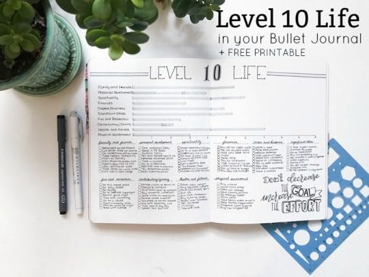 Level 10 Life in Your Bullet Journal ⋆ The Petite Planner