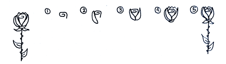 11 Simple Step-by-Step Floral Doodles ⋆ The Petite Planner