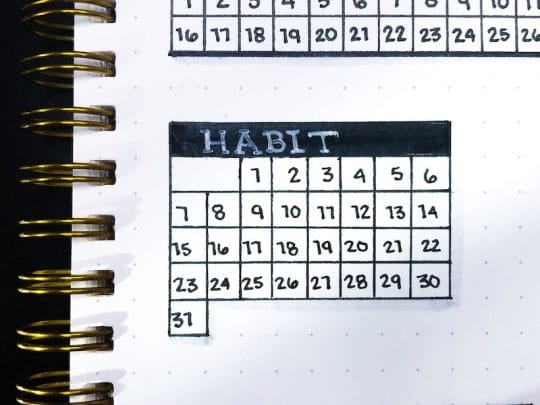 7 Cute Mini Habit Tracker Designs to Try ⋆ The Petite Planner