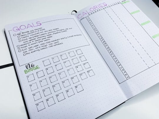 May 2019 Health and Fitness Journal Setup ⋆ The Petite Planner