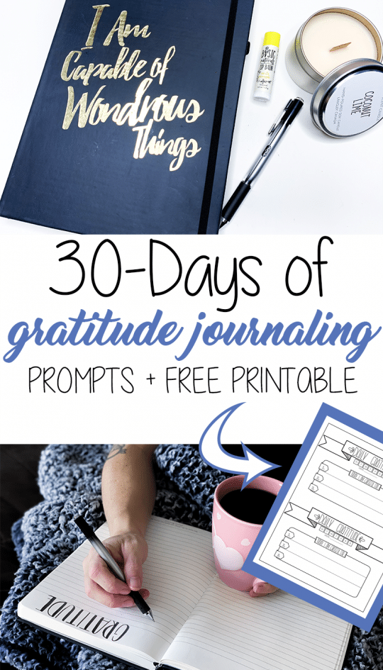Daily Gratitude Journal Prompts (Free Printables) ⋆ The Petite Planner
