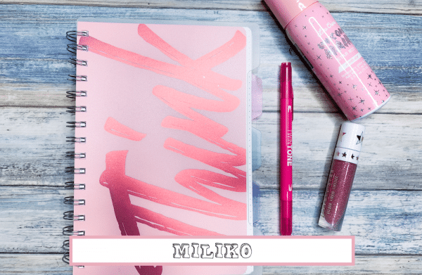 Huge Bullet Journal Notebook Comparison for 2020 ⋆ The Petite Planner