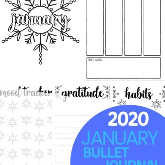 Printable July Journal Pages - Daisy Theme ⋆ The Petite Planner