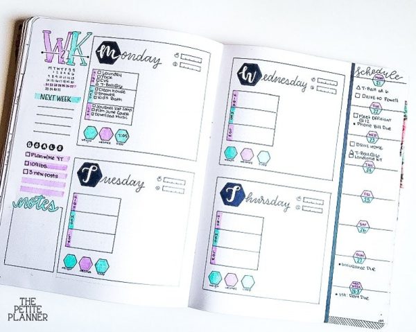January Bullet Journal Ideas & Spreads for 2020 ⋆ The Petite Planner