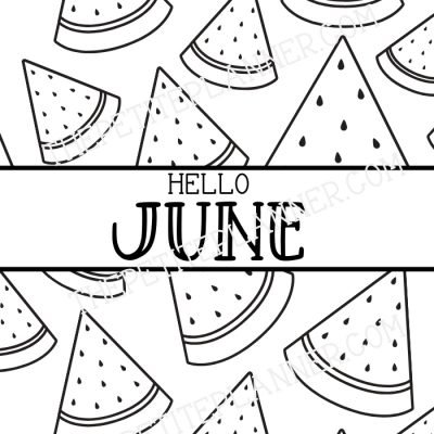 Printable June Journal Theme - Watermelon Theme ⋆ The Petite Planner