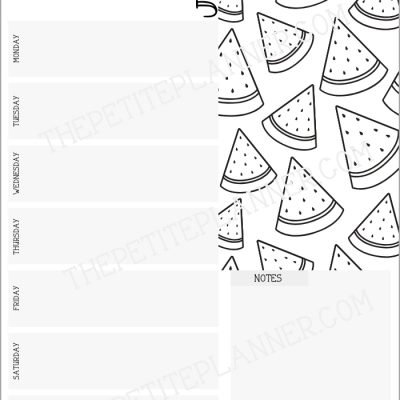 Printable June Journal Theme - Watermelon Theme ⋆ The Petite Planner
