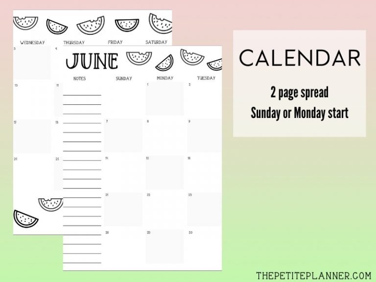 Printable June Journal Theme - Watermelon Theme ⋆ The Petite Planner
