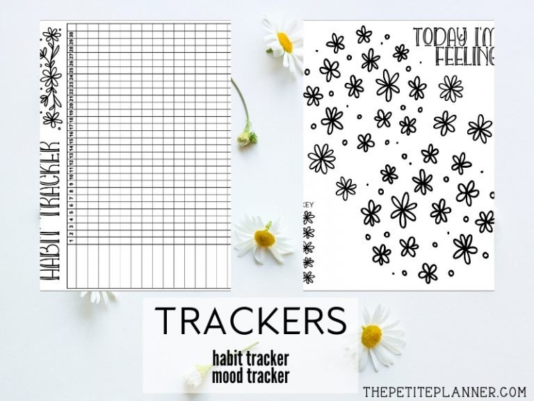 Printable July Journal Pages - Daisy Theme ⋆ The Petite Planner