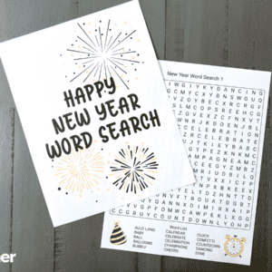 New Year's Eve Word Search Book ⋆ The Petite Planner