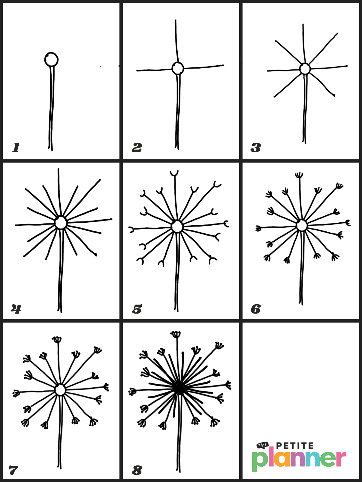 How to Draw a Dandelion - Step By Step Directions!