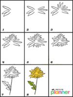 How to Draw a Dandelion - Step By Step Directions!