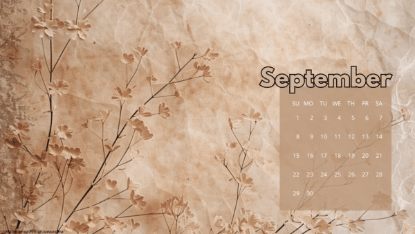 September Desktop Wallpaper (Free Downloads!)